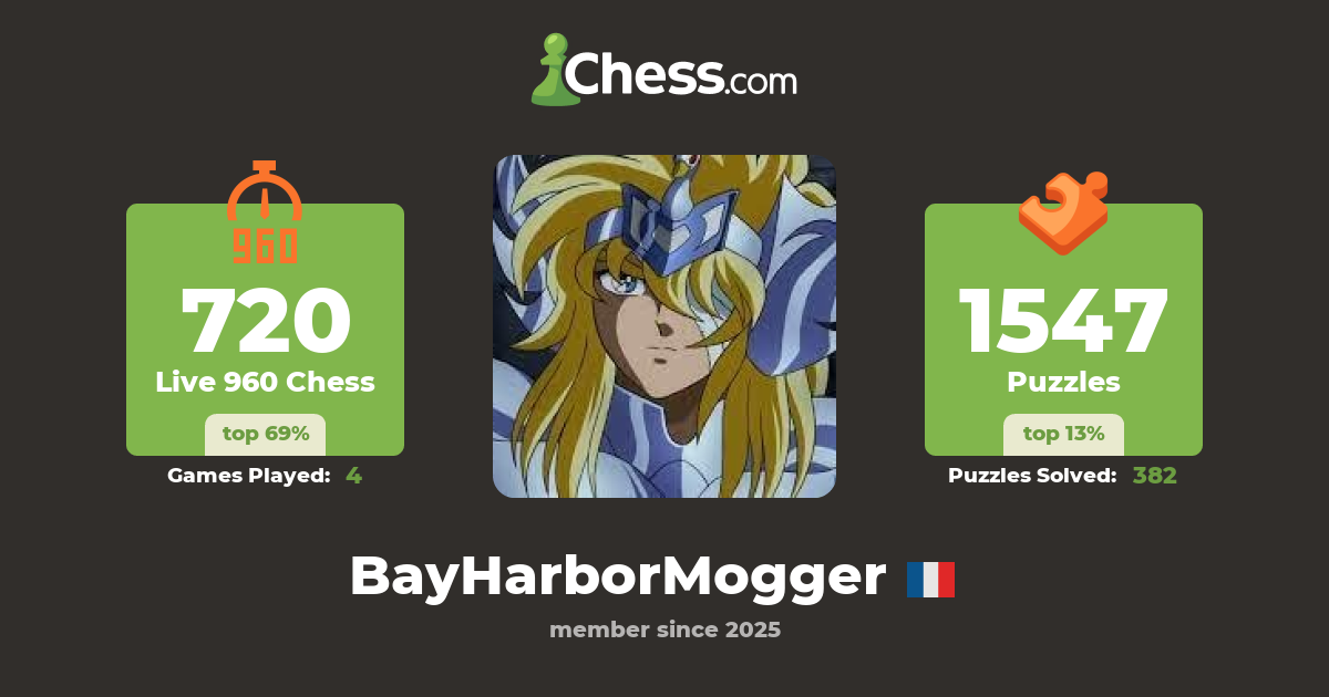 BayHarborMogger - Chess Profile - Chess.com