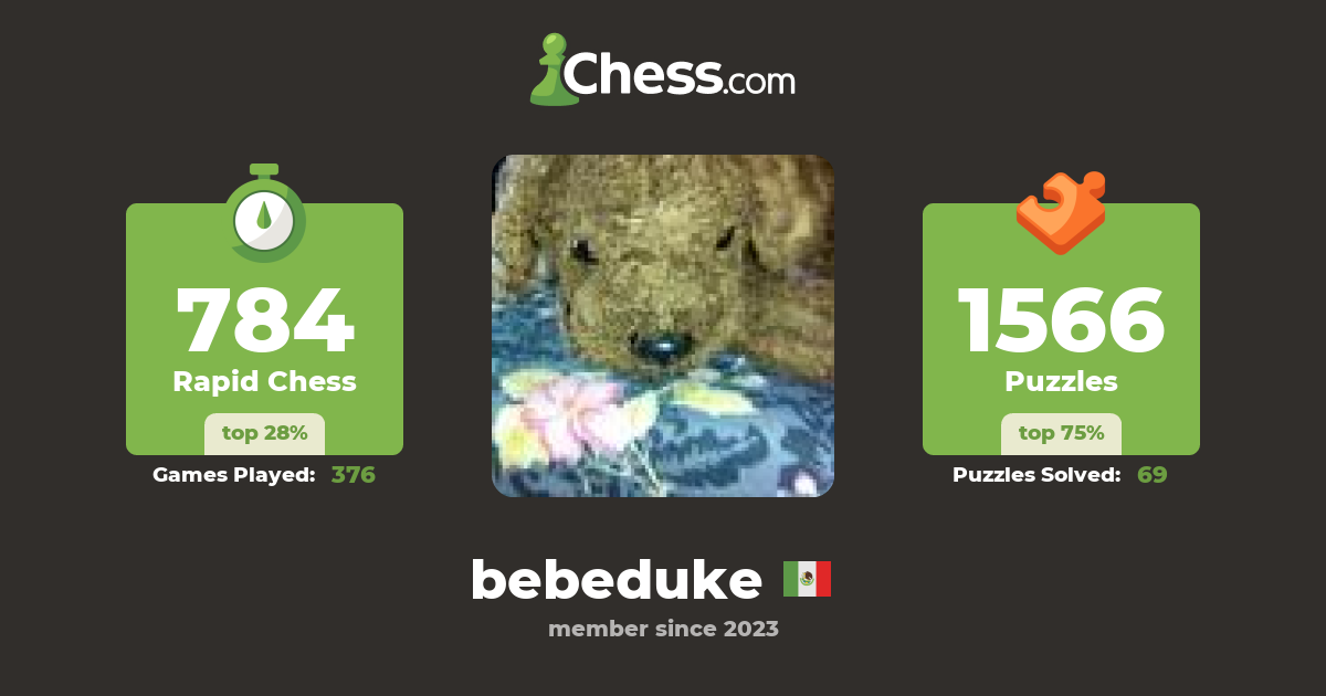 Bebe Duke (bebeduke) - Chess Profile - Chess.com