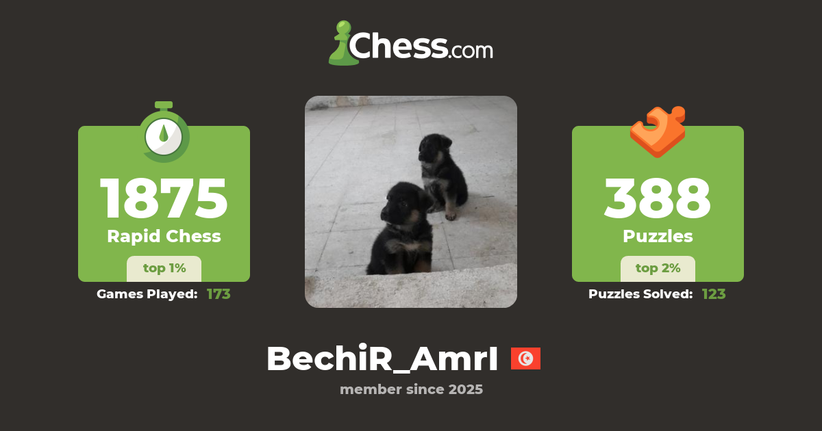 Bechir Amri (BechiR_AmrI) - Chess Profile - Chess.com