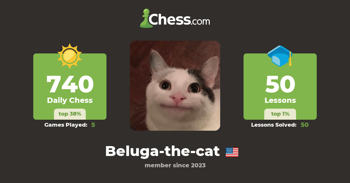 Beluga-the-cat - Chess Profile - Chess.com