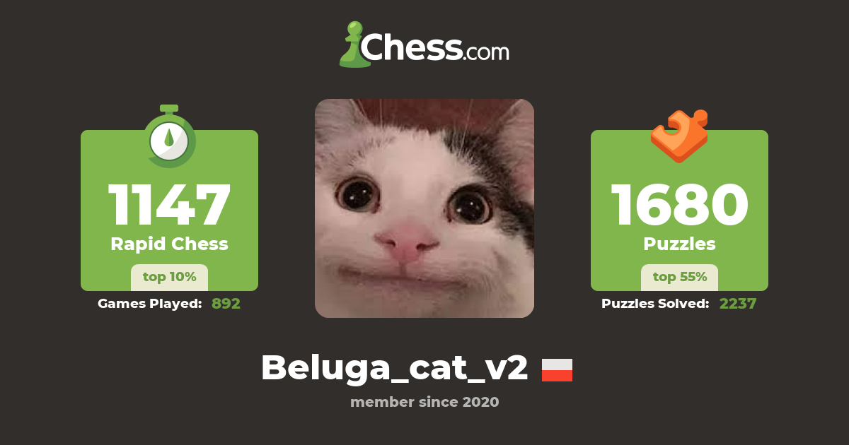 Beluga_cat_v2 - Chess Profile - Chess.com
