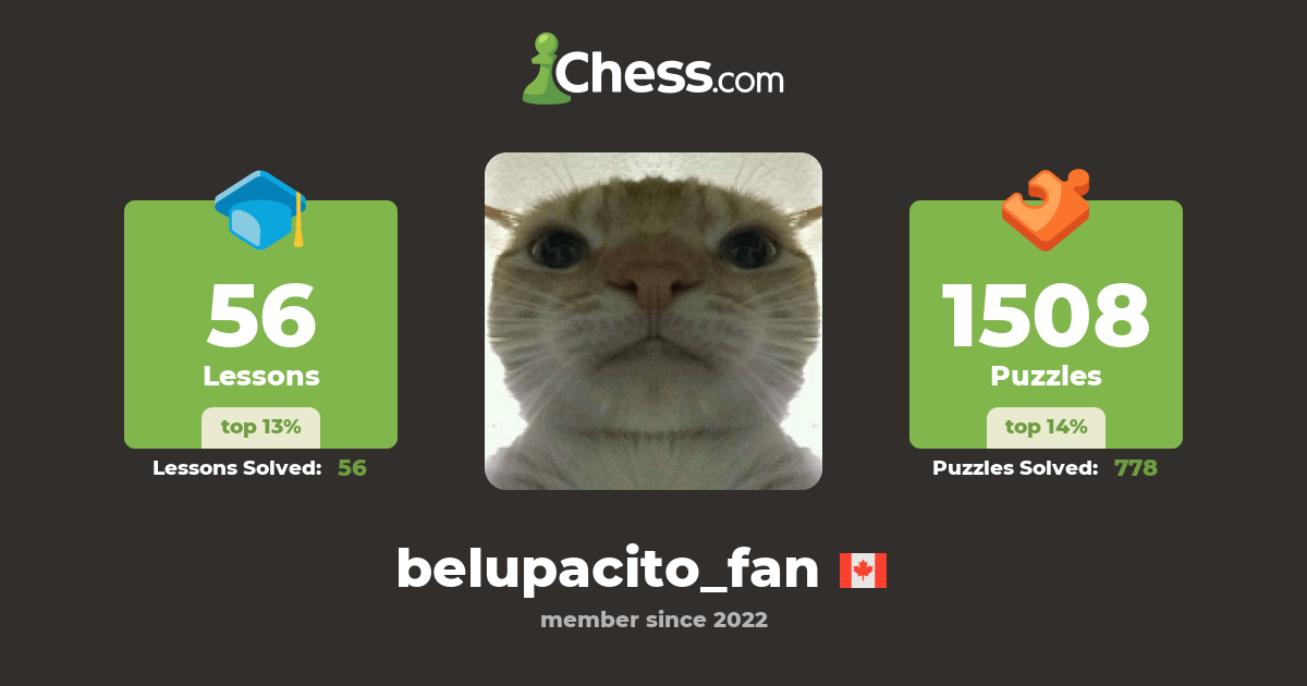 belupacito_fan - Chess Profile - Chess.com
