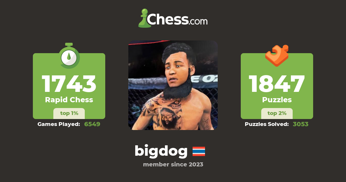Just tryna get better at Chess (bigdog) - Chess Profile - Chess.com