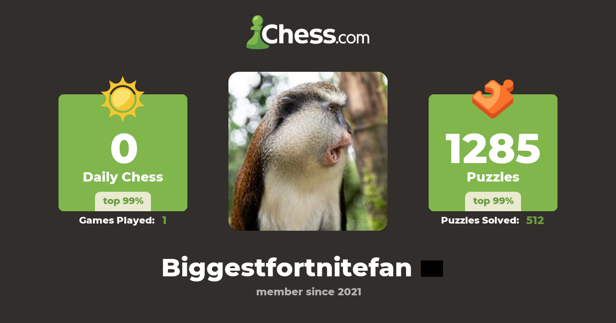 Biggestfortnitefan - Chess Profile - Chess.com