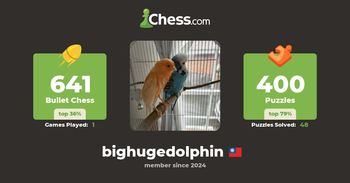hugely overweight dolphin (bighugedolphin) - Chess Profile - Chess.com