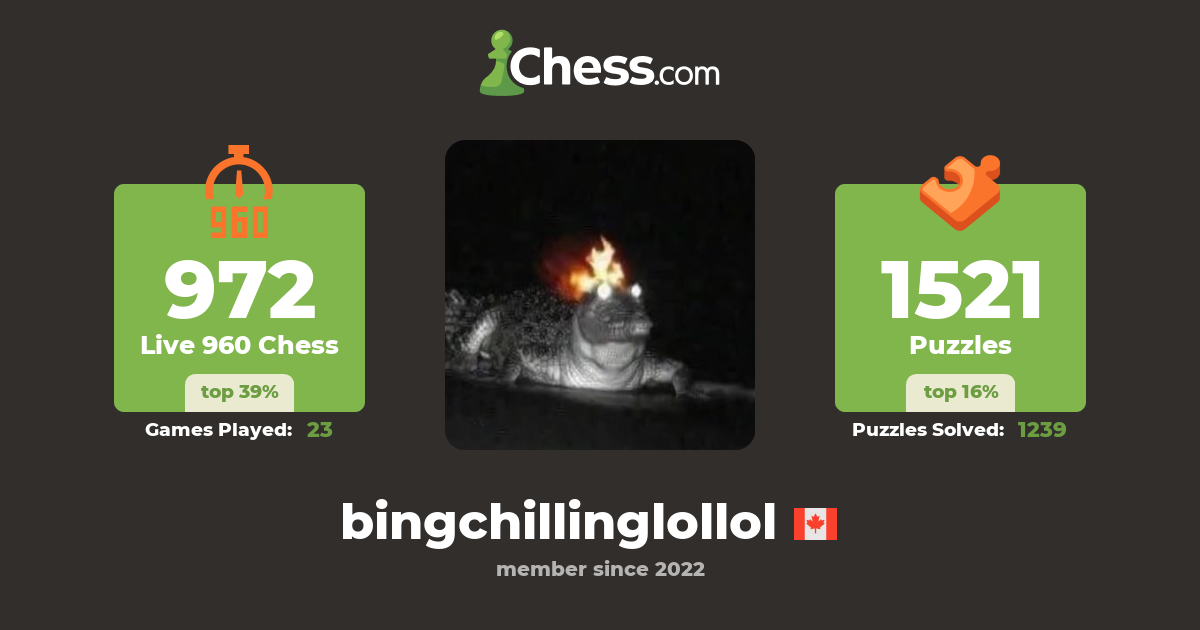 bingchillinglollol - Chess Profile - Chess.com