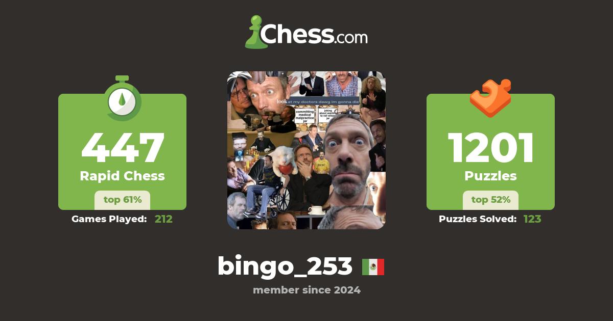 bingo_253 - Chess Profile - Chess.com
