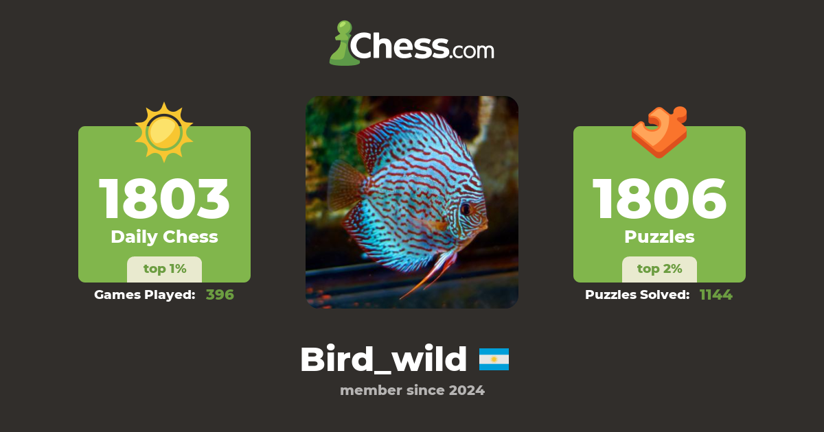 Bird_wild - Chess Profile - Chess.com