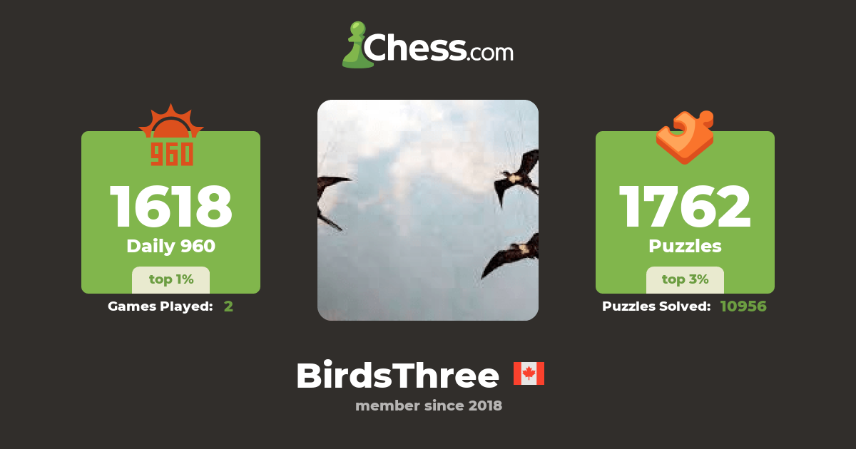 BirdsThree - Chess Profile - Chess.com