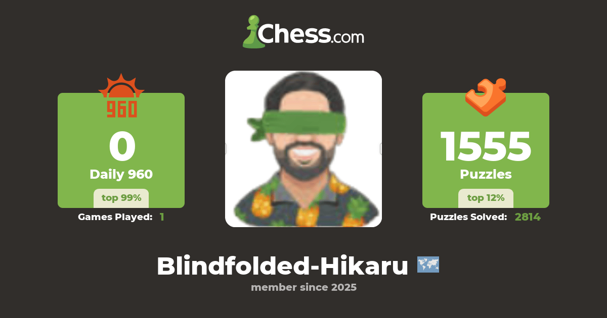 Blindfolded-Hikaru - Chess Profile - Chess.com