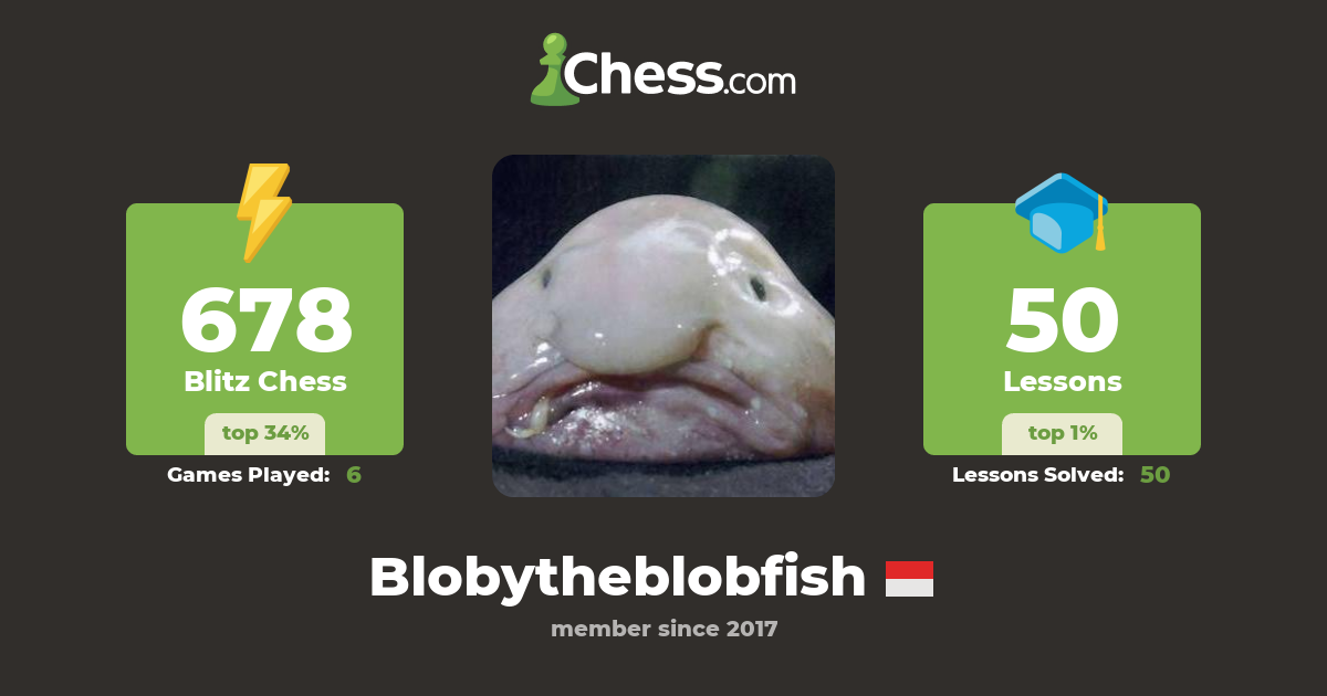 Blob Fish (Blobytheblobfish) - Chess Profile - Chess.com