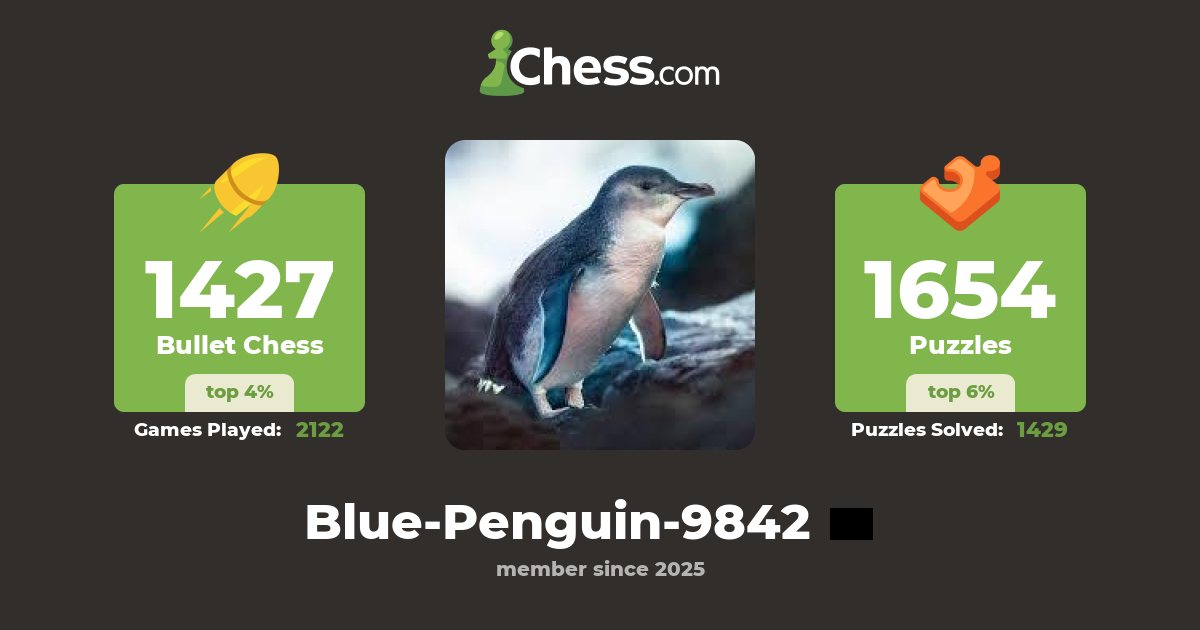 blue penguin (Blue-Penguin-9842) - Chess Profile - Chess.com