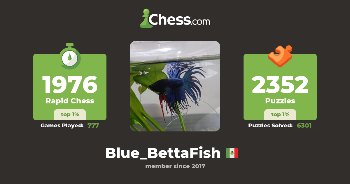 Blue_BettaFish - Chess Profile - Chess.com
