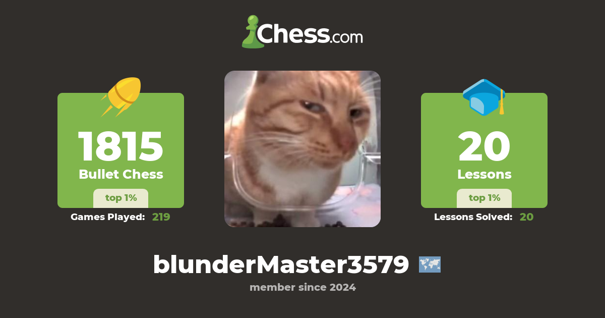 Bot (blunderMaster3579) - Chess Profile - Chess.com