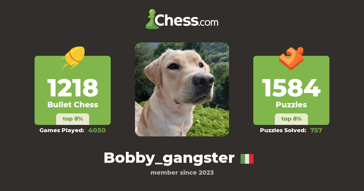 Bobby_gangster - Chess Profile - Chess.com
