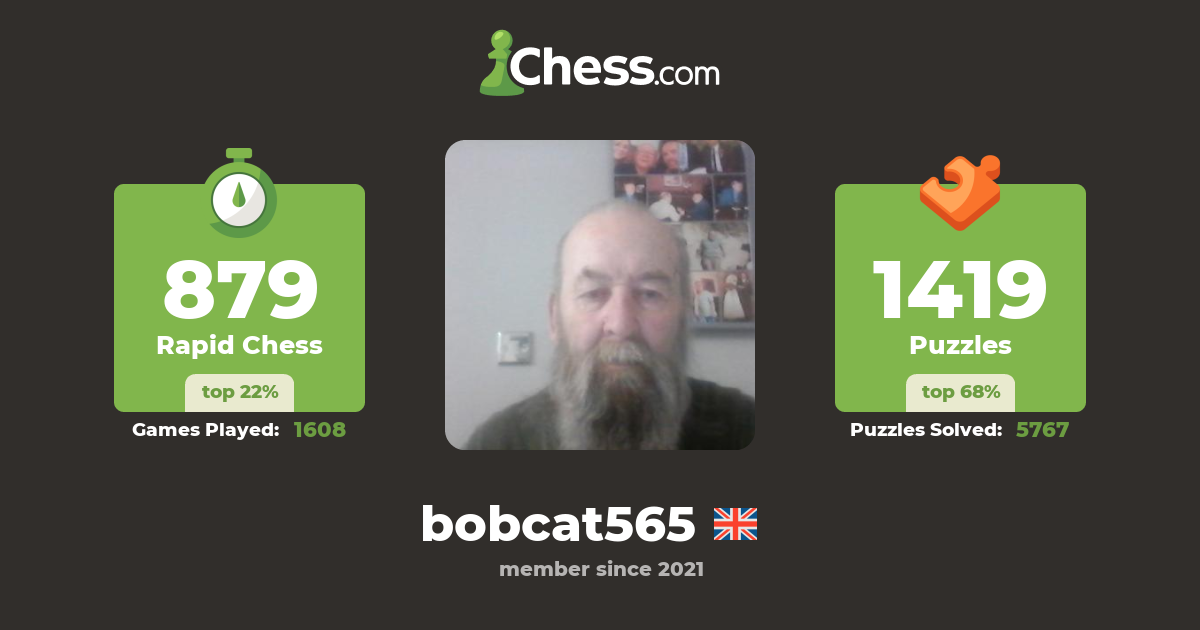 bobcat565 - Chess Profile - Chess.com
