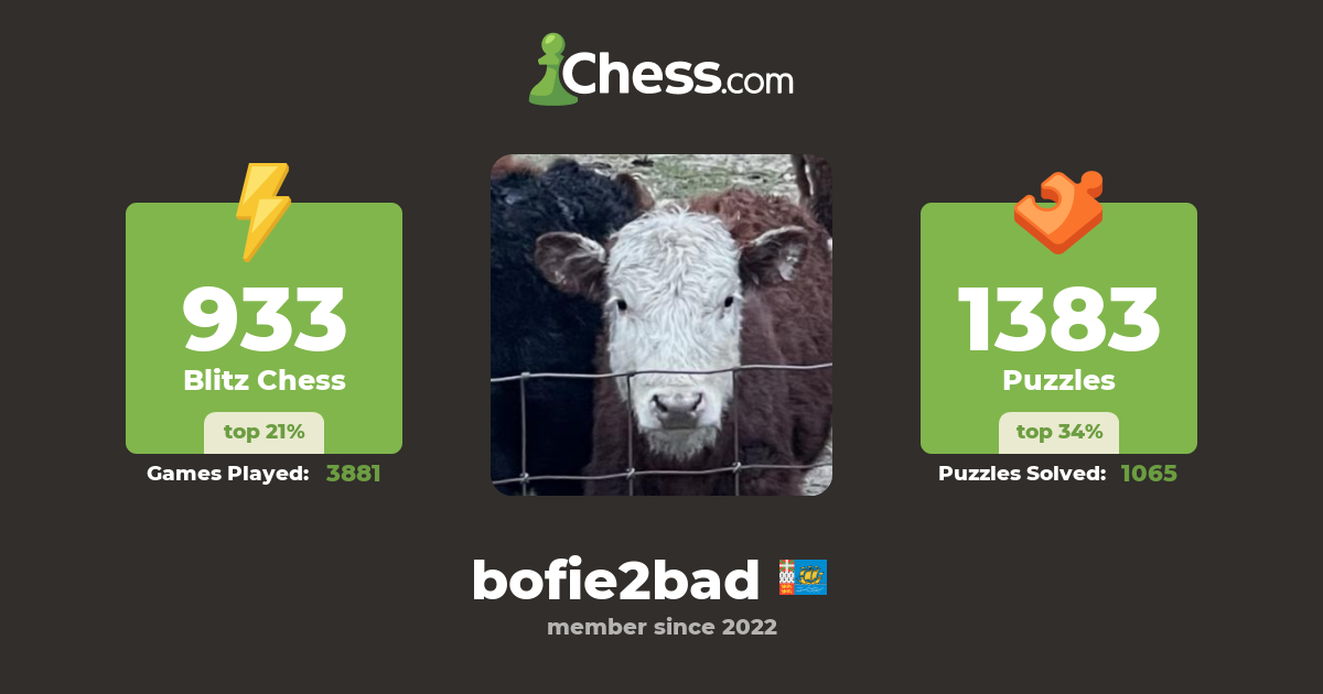 bofie2bad - Chess Profile - Chess.com