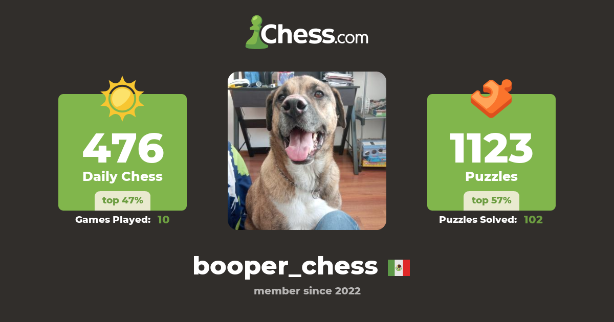 Leonardo Vega (booper_chess) - Chess Profile - Chess.com
