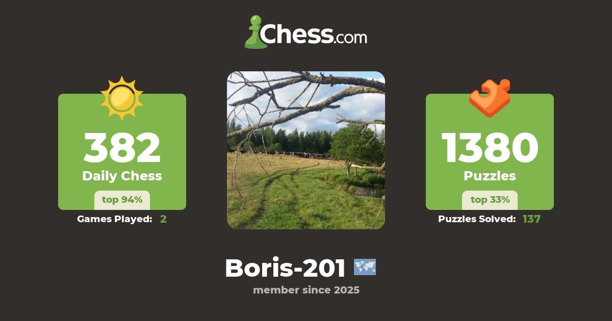 Boris-201 - Chess Profile - Chess.com