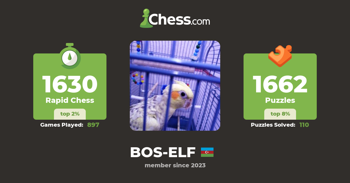 BOS-ELF - Chess Profile - Chess.com