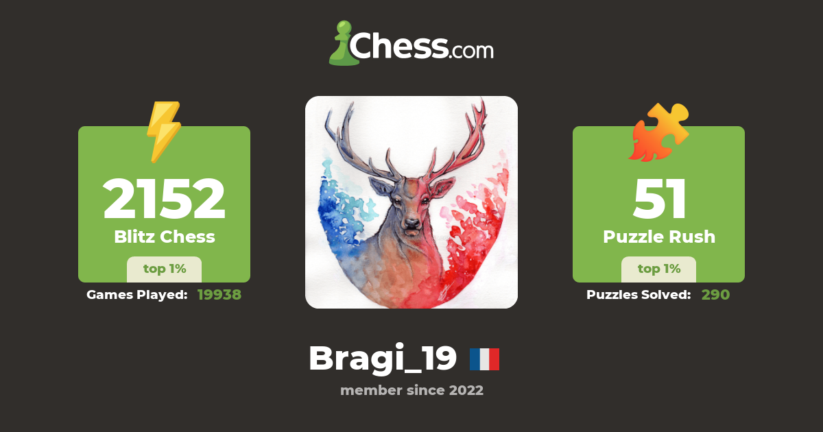 Bragi_19 - Chess Profile - Chess.com