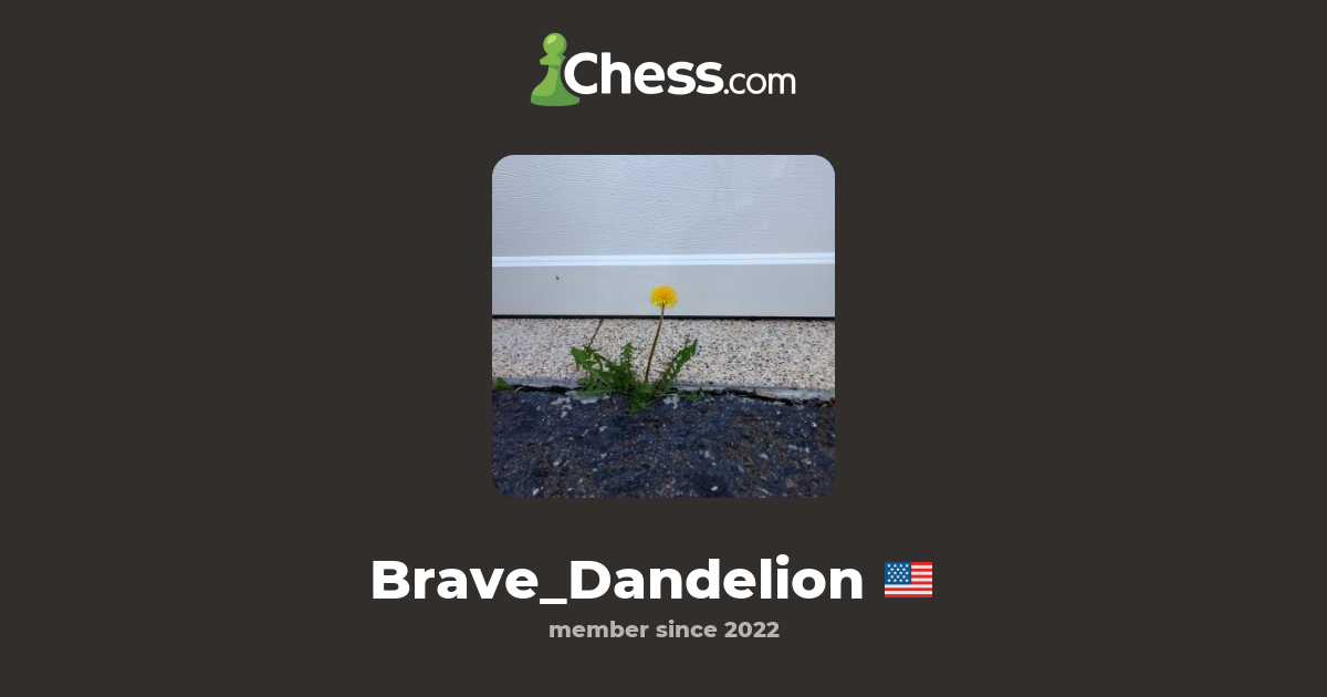 Brave_Dandelion - Chess Profile - Chess.com