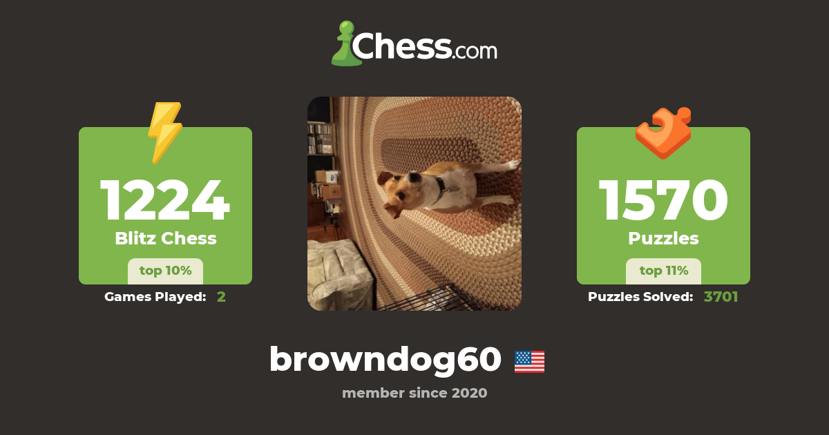 browndog60 - Chess Profile - Chess.com
