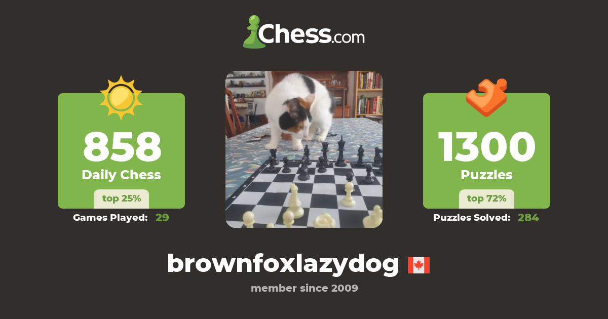 Robin Hamilton (brownfoxlazydog) - Chess Profile - Chess.com