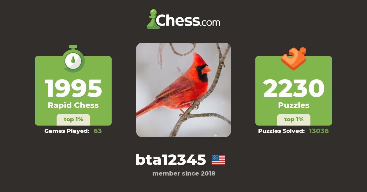 Benjamin Teng (bta12345) - Chess Profile - Chess.com