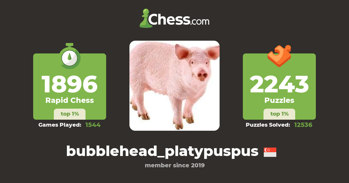 fins golfins (bubblehead_platypuspus) - Chess Profile - Chess.com