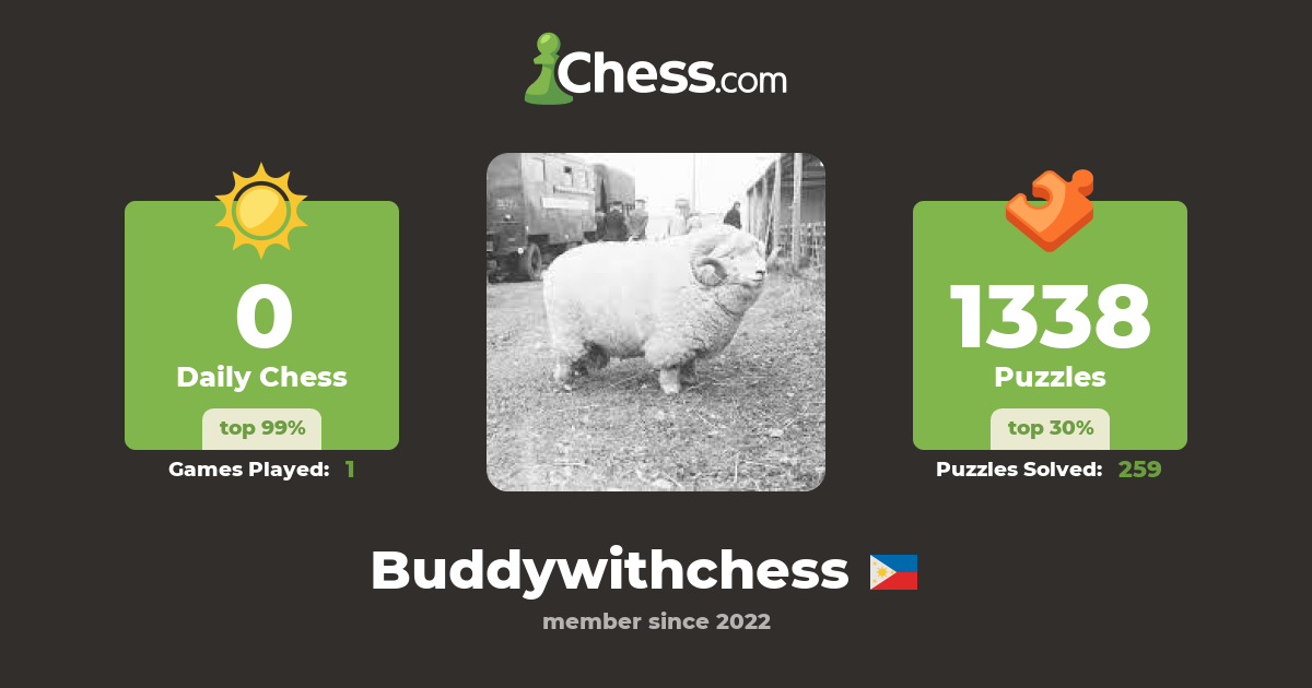 Buddywithchess - Chess Profile - Chess.com