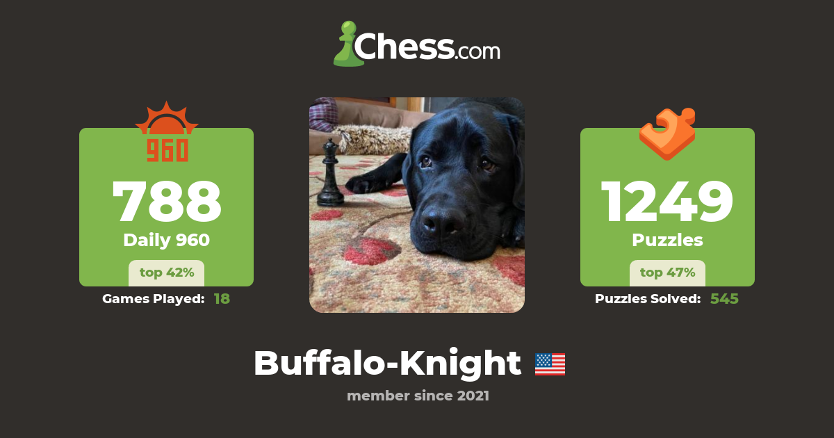 Buffalo-Knight - Chess Profile - Chess.com
