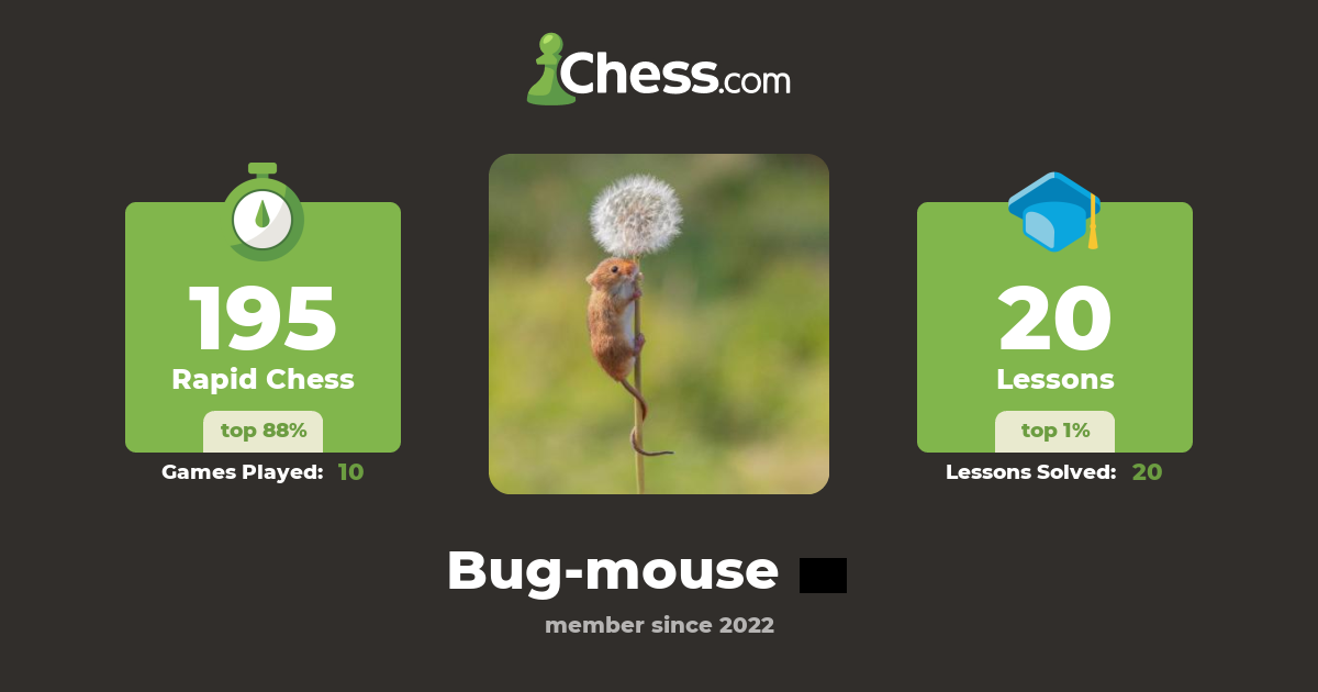 Yanina Mirzoieva (Bug-mouse) - Chess Profile - Chess.com