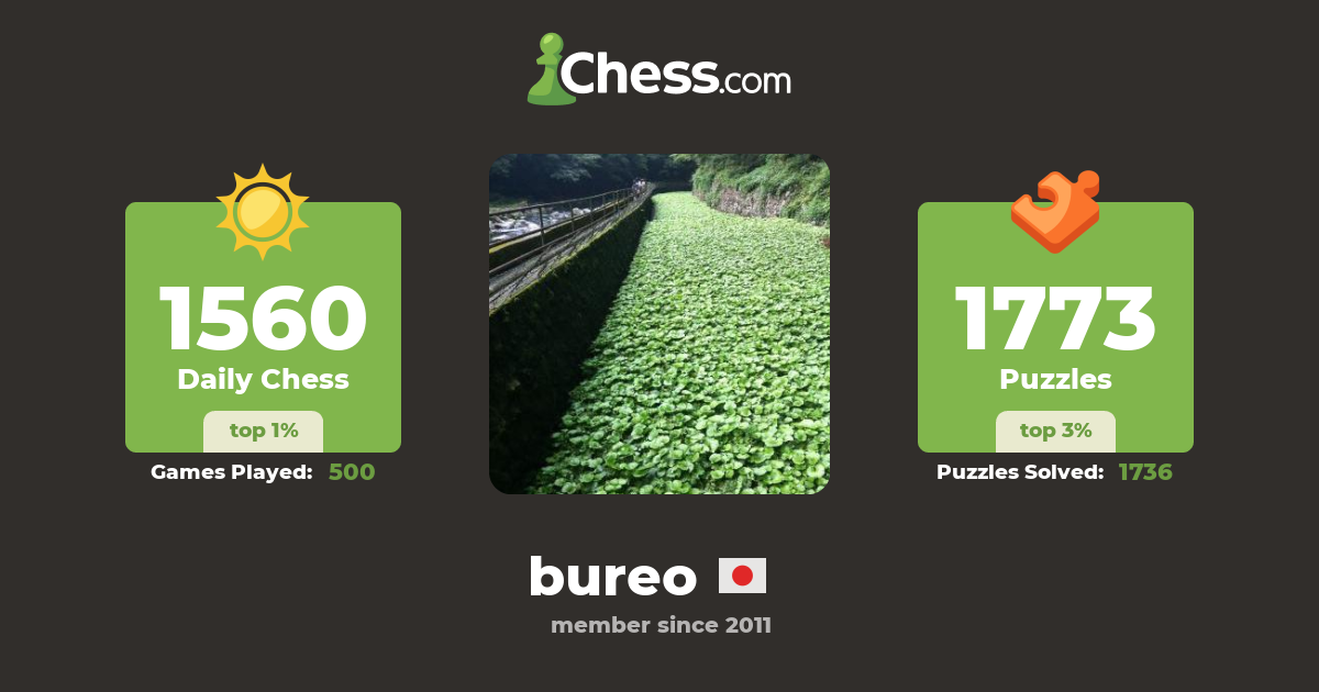bureo - Chess Profile - Chess.com