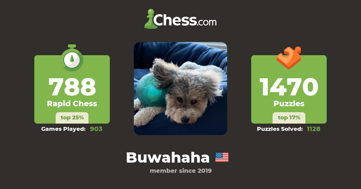 Bita Mathews (Buwahaha) - Chess Profile - Chess.com