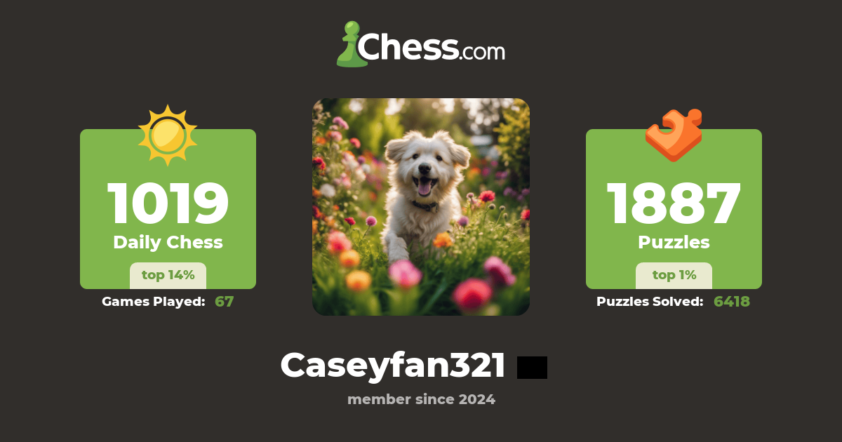 Caseyfan321 - Chess Profile - Chess.com