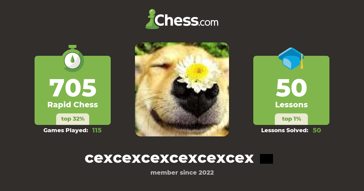 Undercover Clown (cexcexcexcexcexcex) - Chess Profile - Chess.com