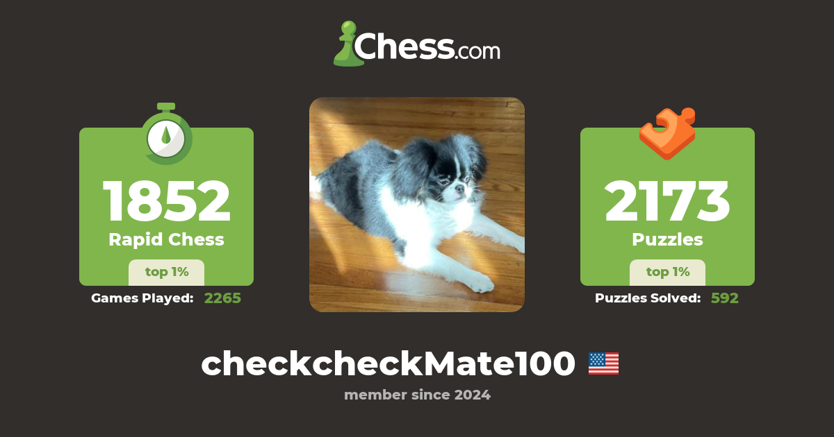 checkcheckMate100 - Chess Profile - Chess.com
