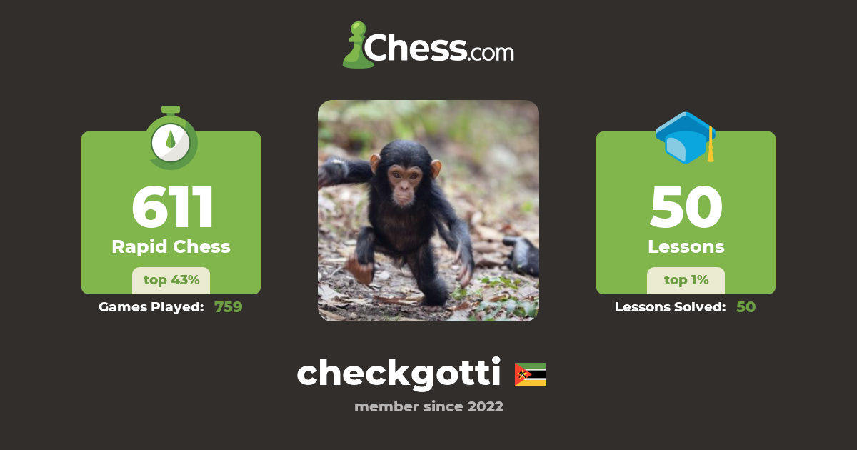 checkgotti - Chess Profile - Chess.com
