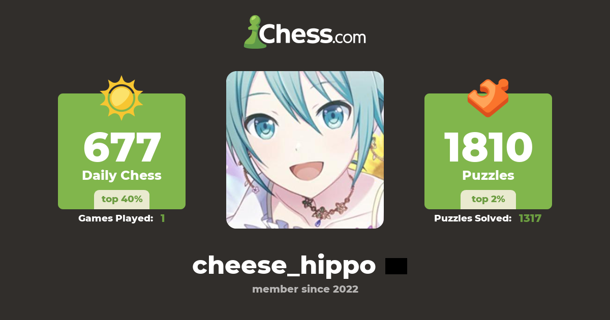 cheese_hippo - Chess Profile - Chess.com