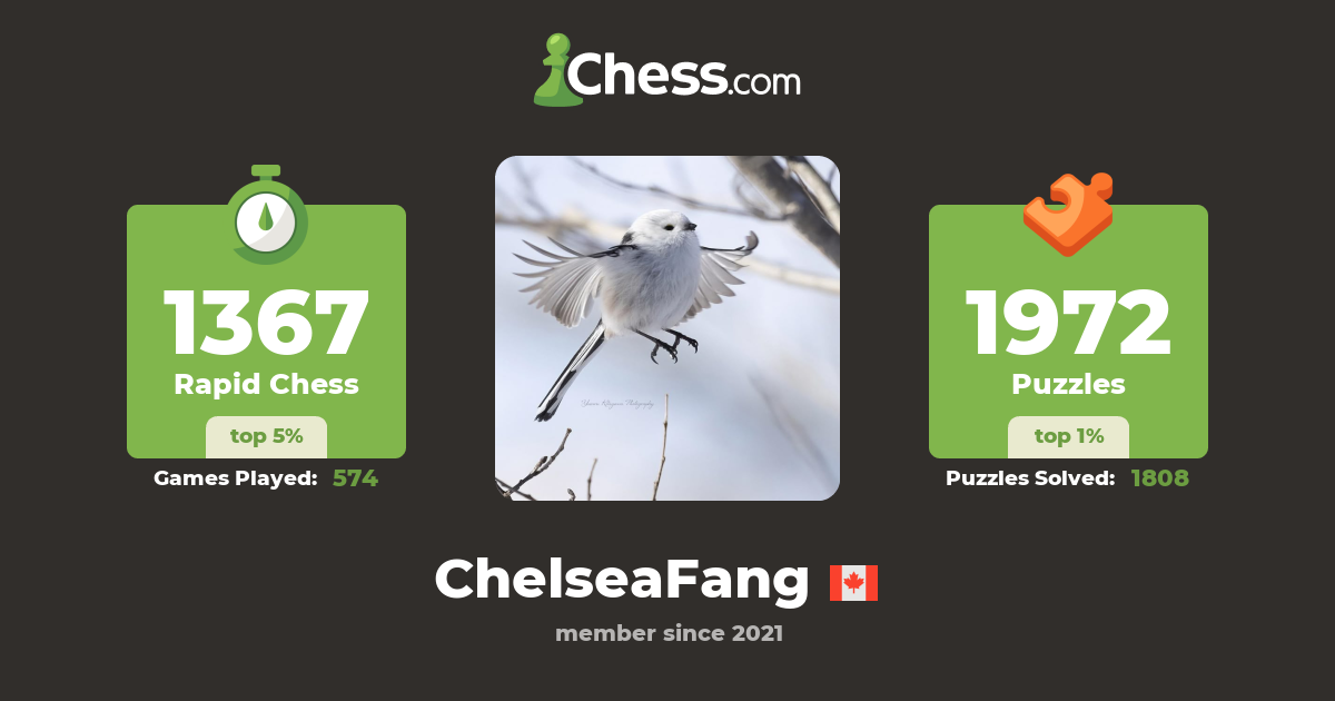 ChelseaFang - Chess Profile - Chess.com