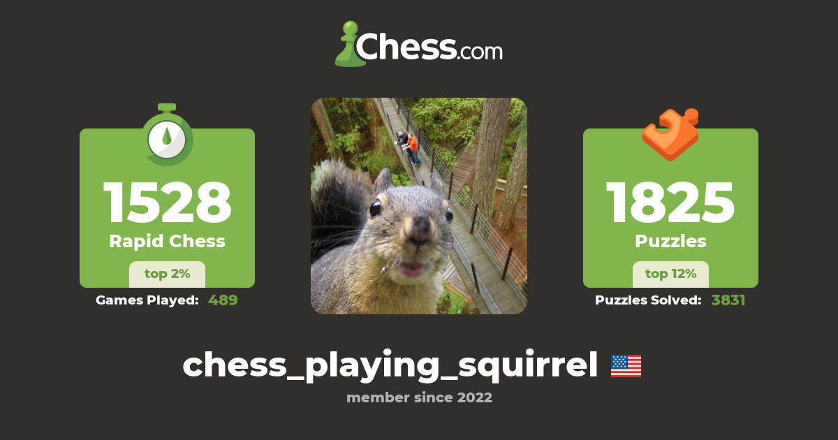 chess_playing_squirrel - Chess Profile - Chess.com