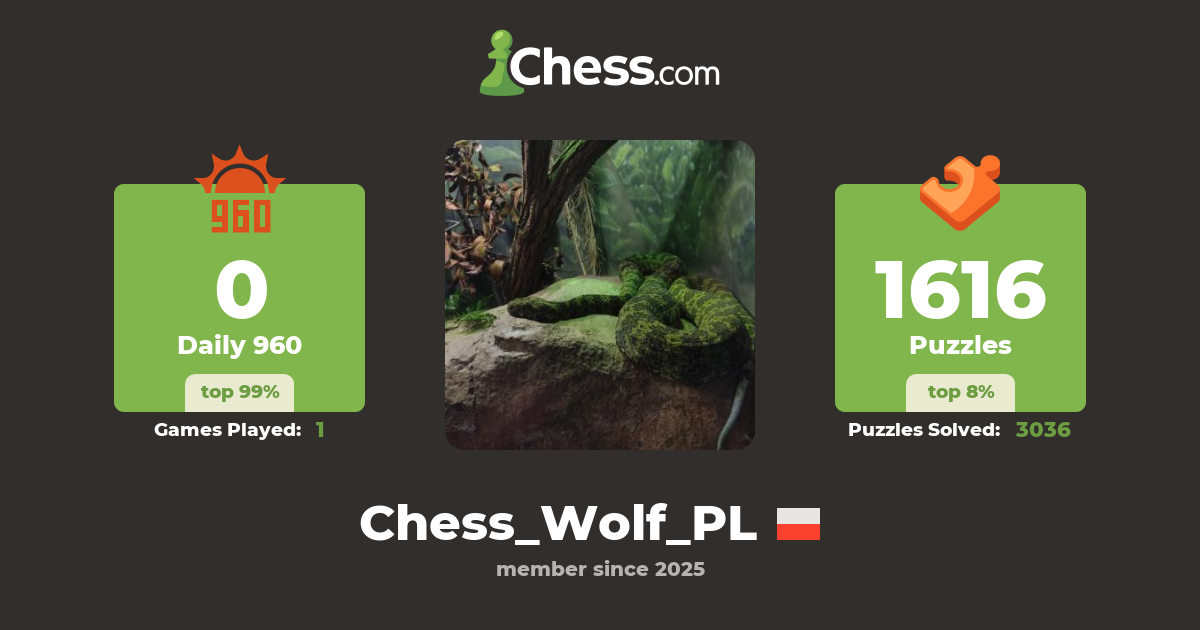 Chess_Wolf_PL - Chess Profile - Chess.com