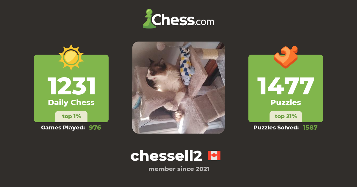 Sean Chessell (chessell2) - Chess Profile - Chess.com