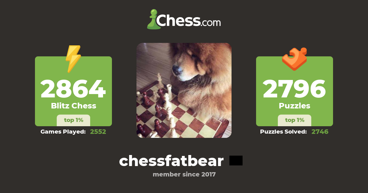 GM Jun Zhao (chessfatbear) - Chess Profile - Chess.com
