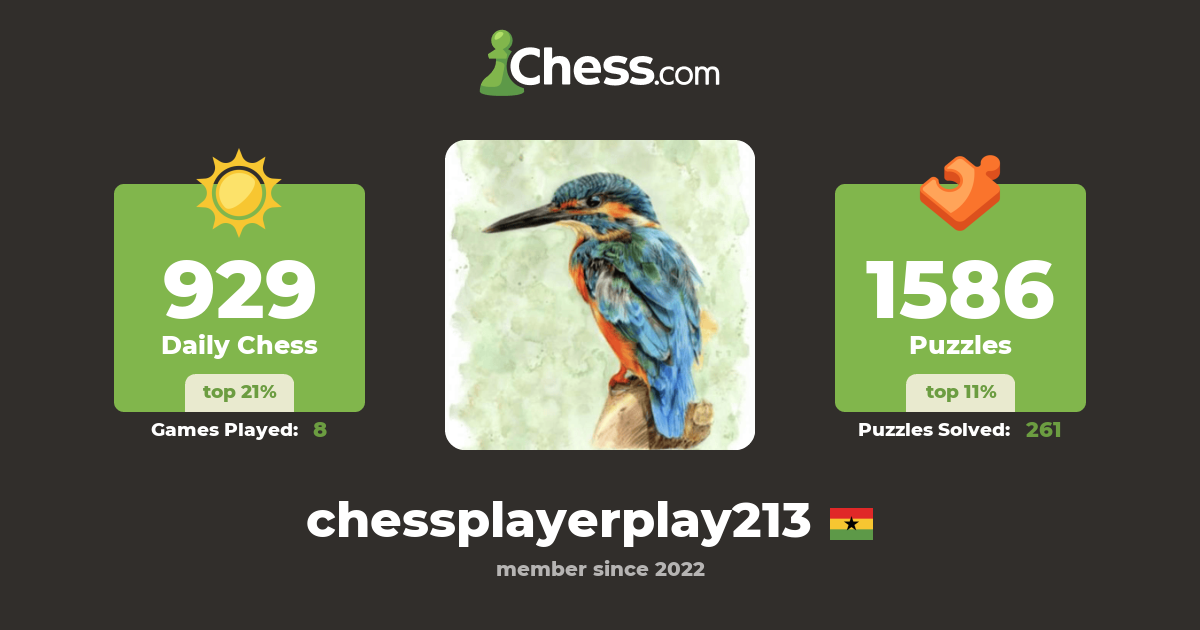 chessplayerplay213 - Chess Profile - Chess.com