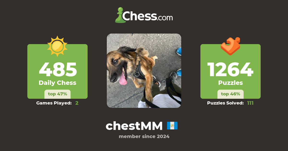 chestMM - Chess Profile - Chess.com