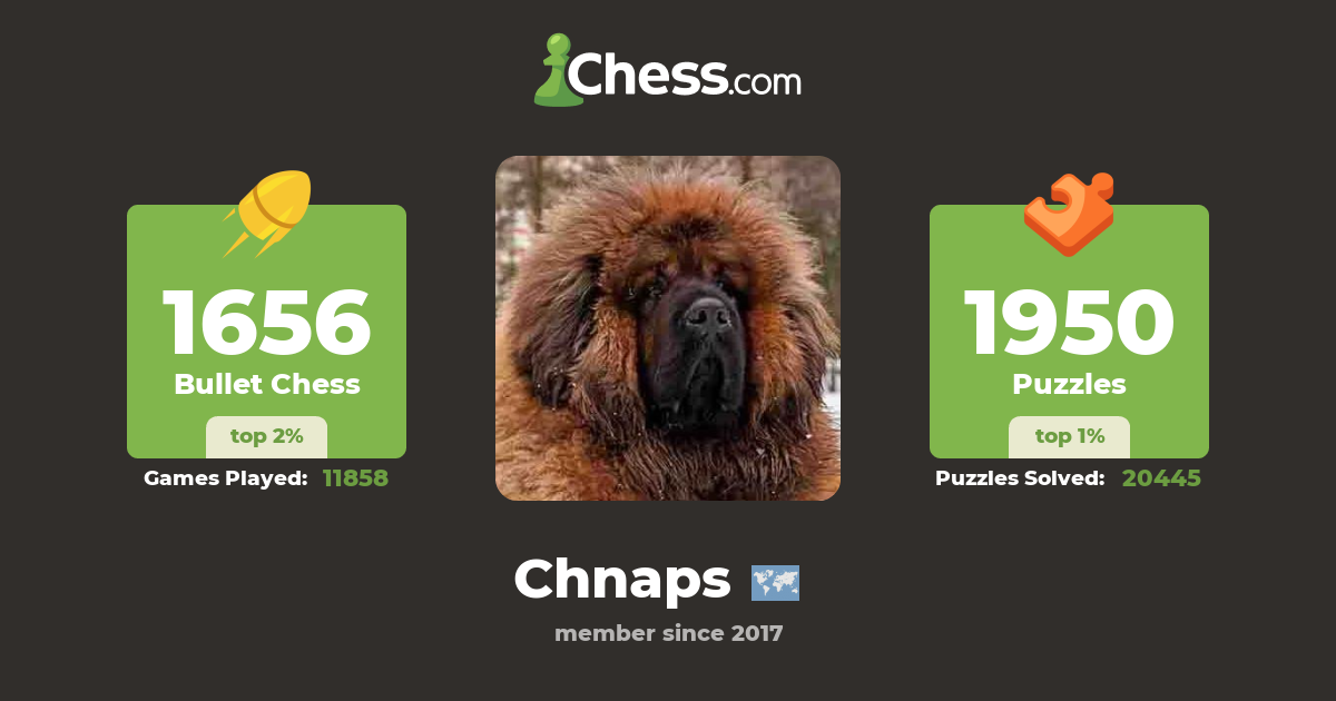 Nabil Bennis (Chnaps) - Chess Profile - Chess.com