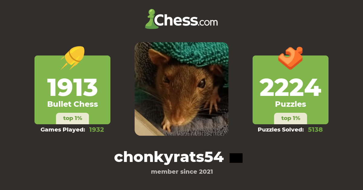 john chess (chonkyrats54) - Chess Profile - Chess.com