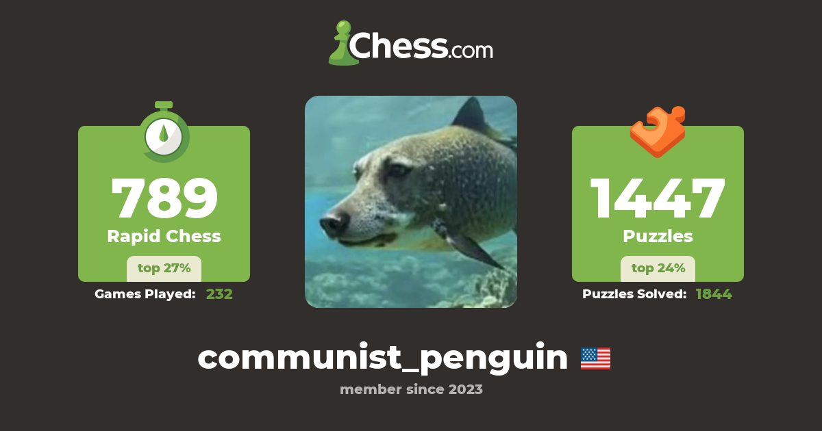 rowan halkowich (communist_penguin) - Chess Profile - Chess.com